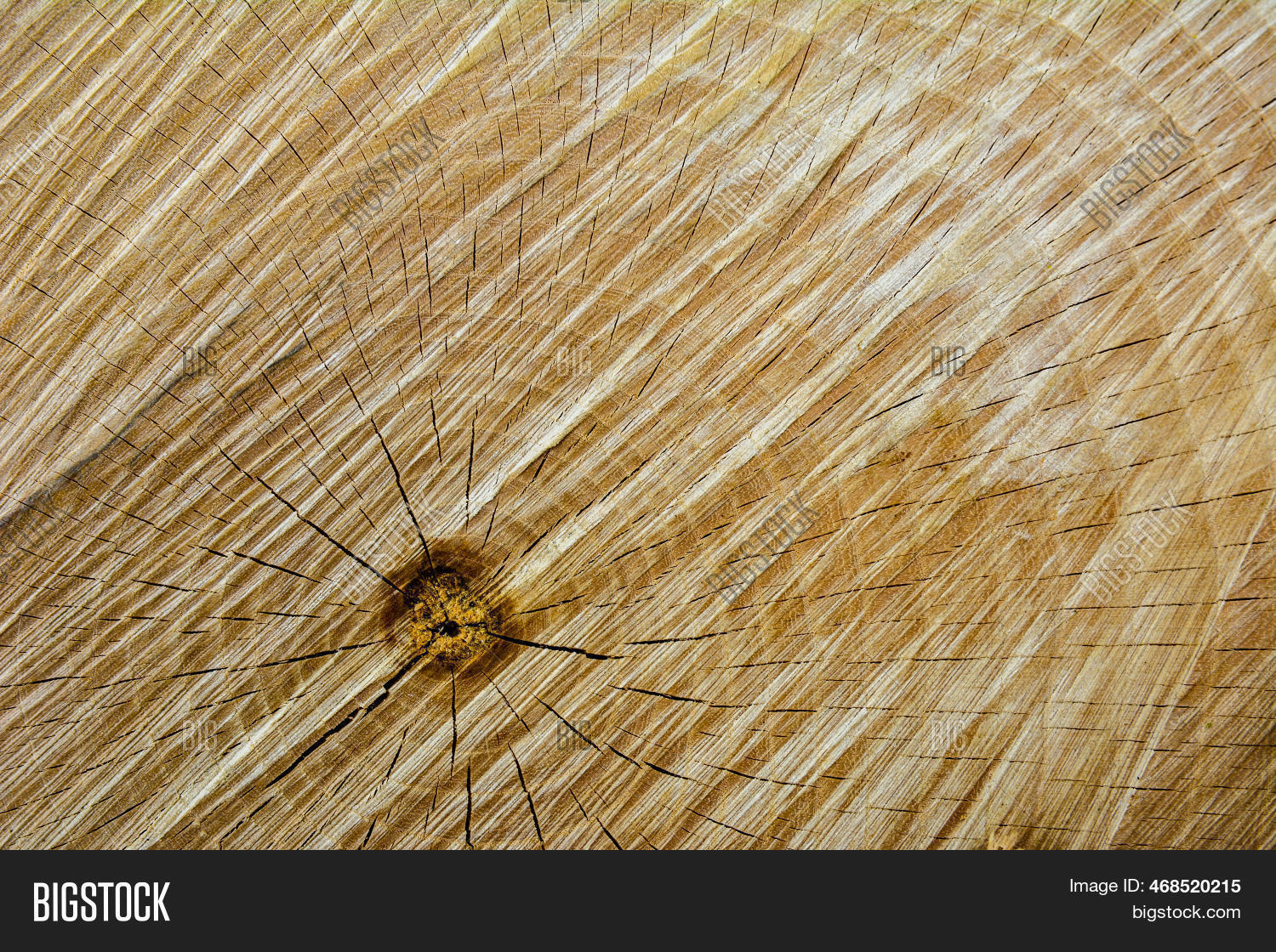 Tree Rings Texture Image & Photo (Free Trial) | Bigstock