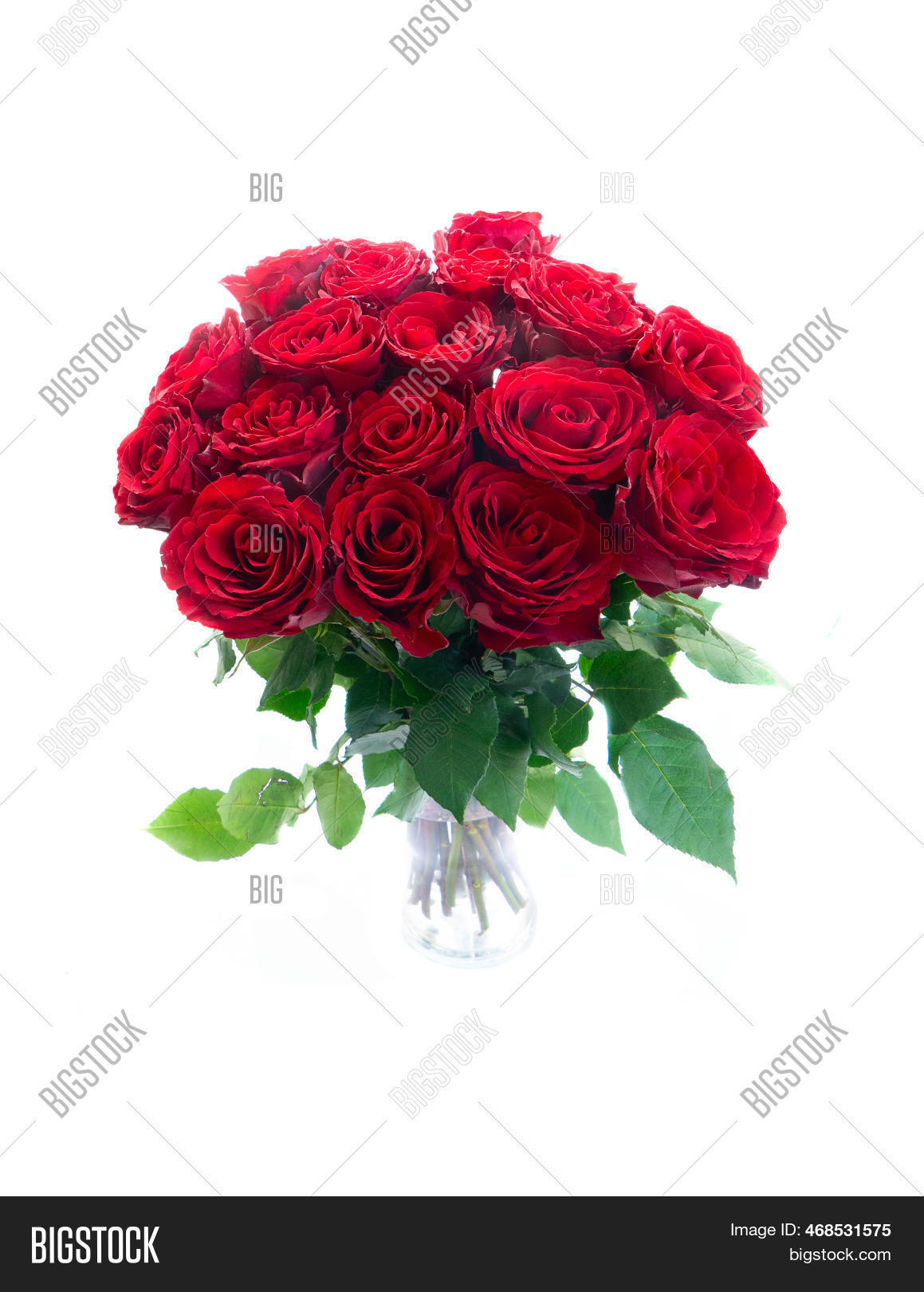 Crimson Red Rose Image & Photo (Free Trial) | Bigstock