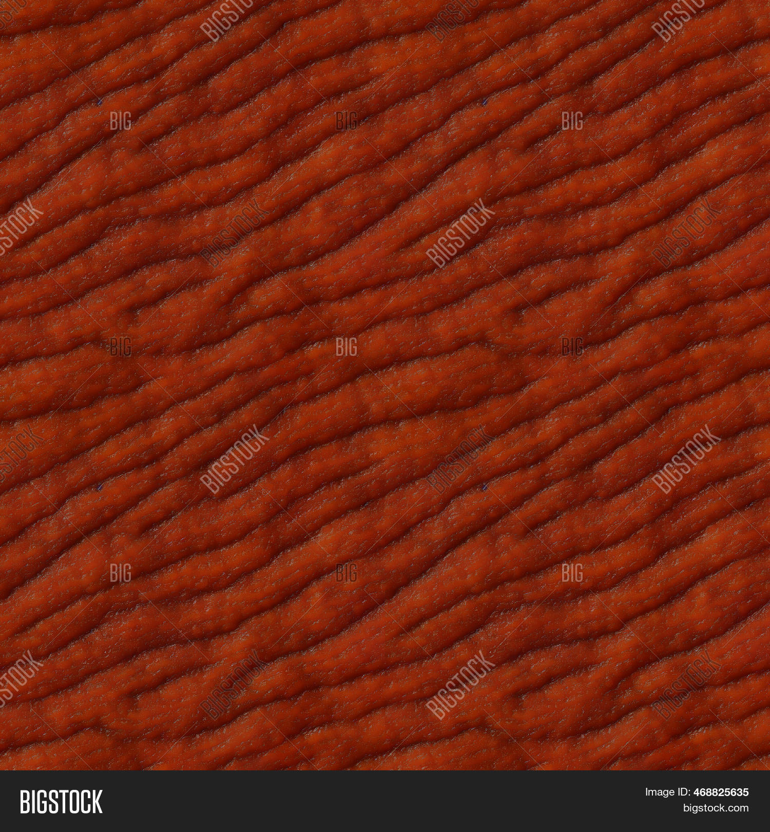 Sun-tanned Human Skin Image & Photo (Free Trial) | Bigstock