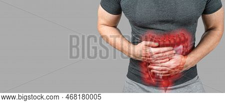 Intestinal Image & Photo (Free Trial) | Bigstock