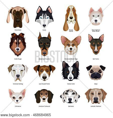 Cute Dogs Faces Vector & Photo (Free Trial) | Bigstock