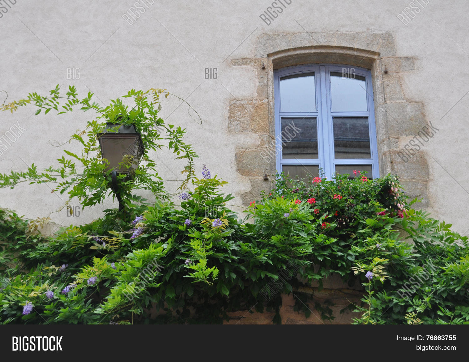 Pretty Window Image & Photo (Free Trial) | Bigstock