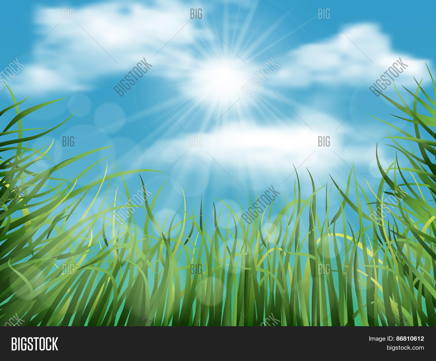 Sky Grass Background Vector