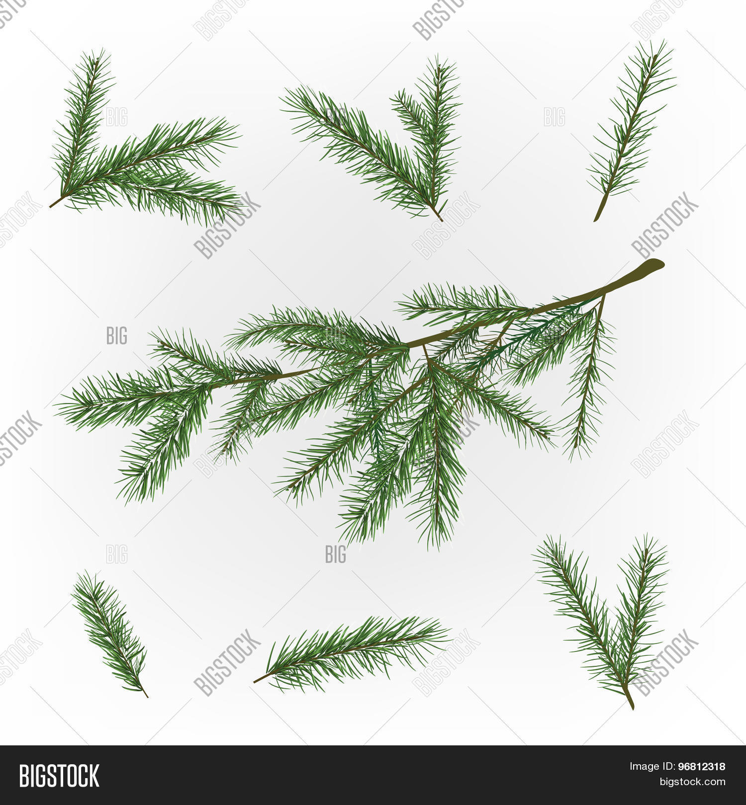 Christmas Tree Branch Vector & Photo (Free Trial) | Bigstock
