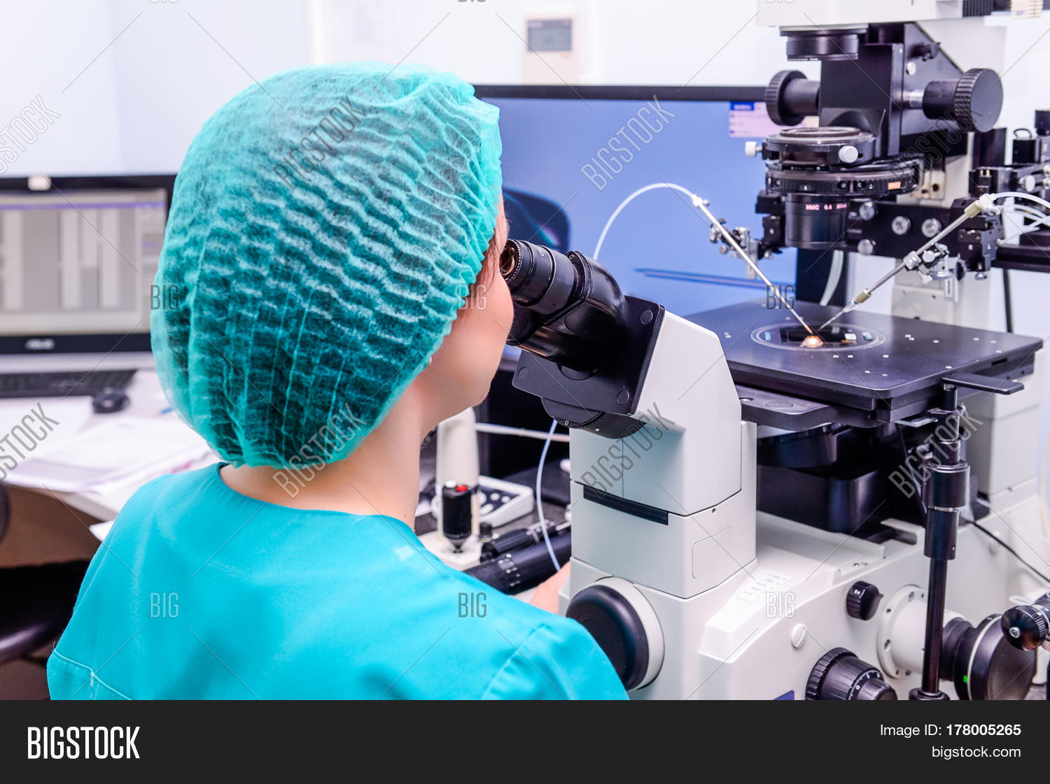 Embryologist Adding Image & Photo (Free Trial) | Bigstock