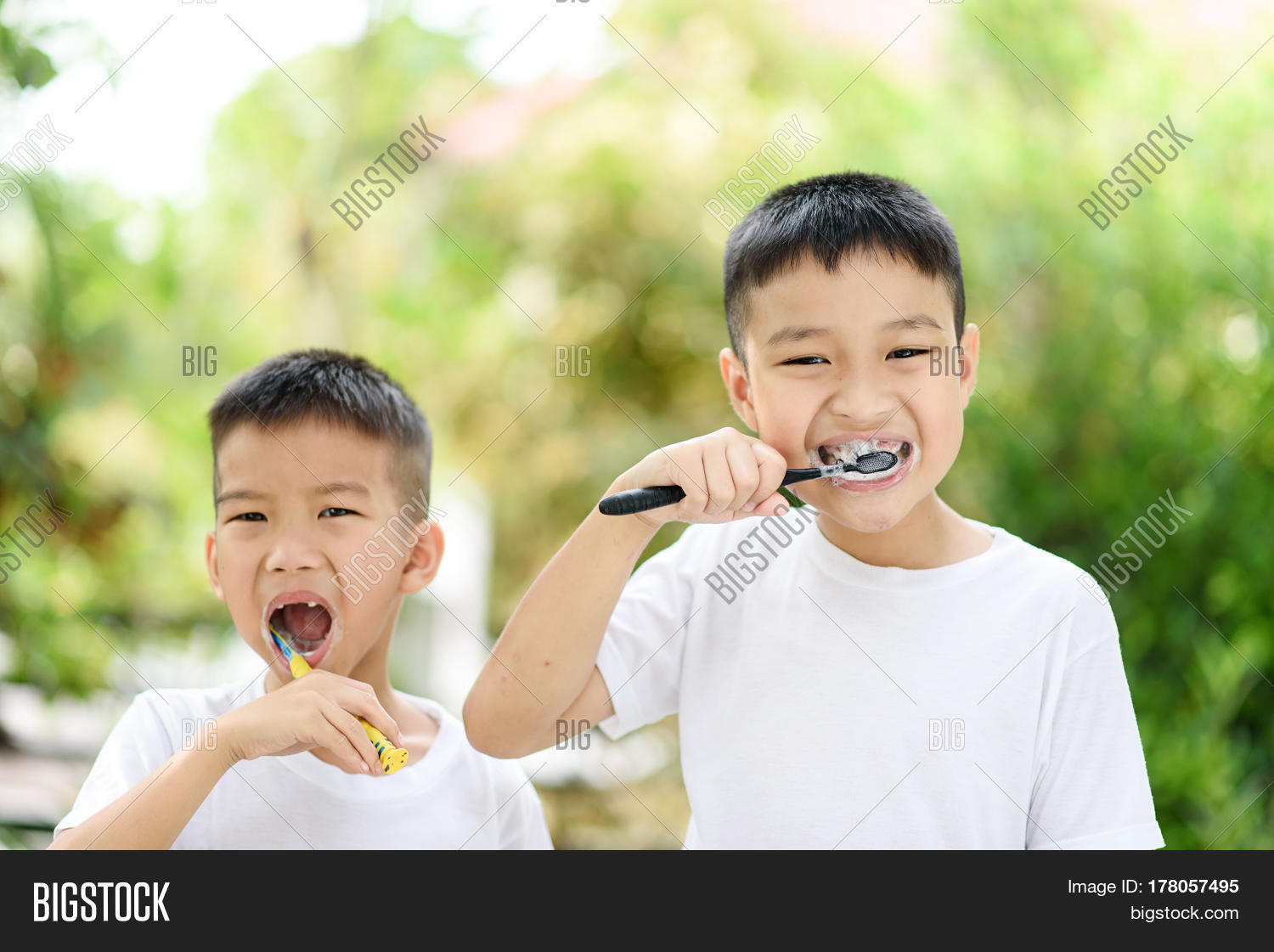 Boy Brushing Teeth Image & Photo (Free Trial) | Bigstock
