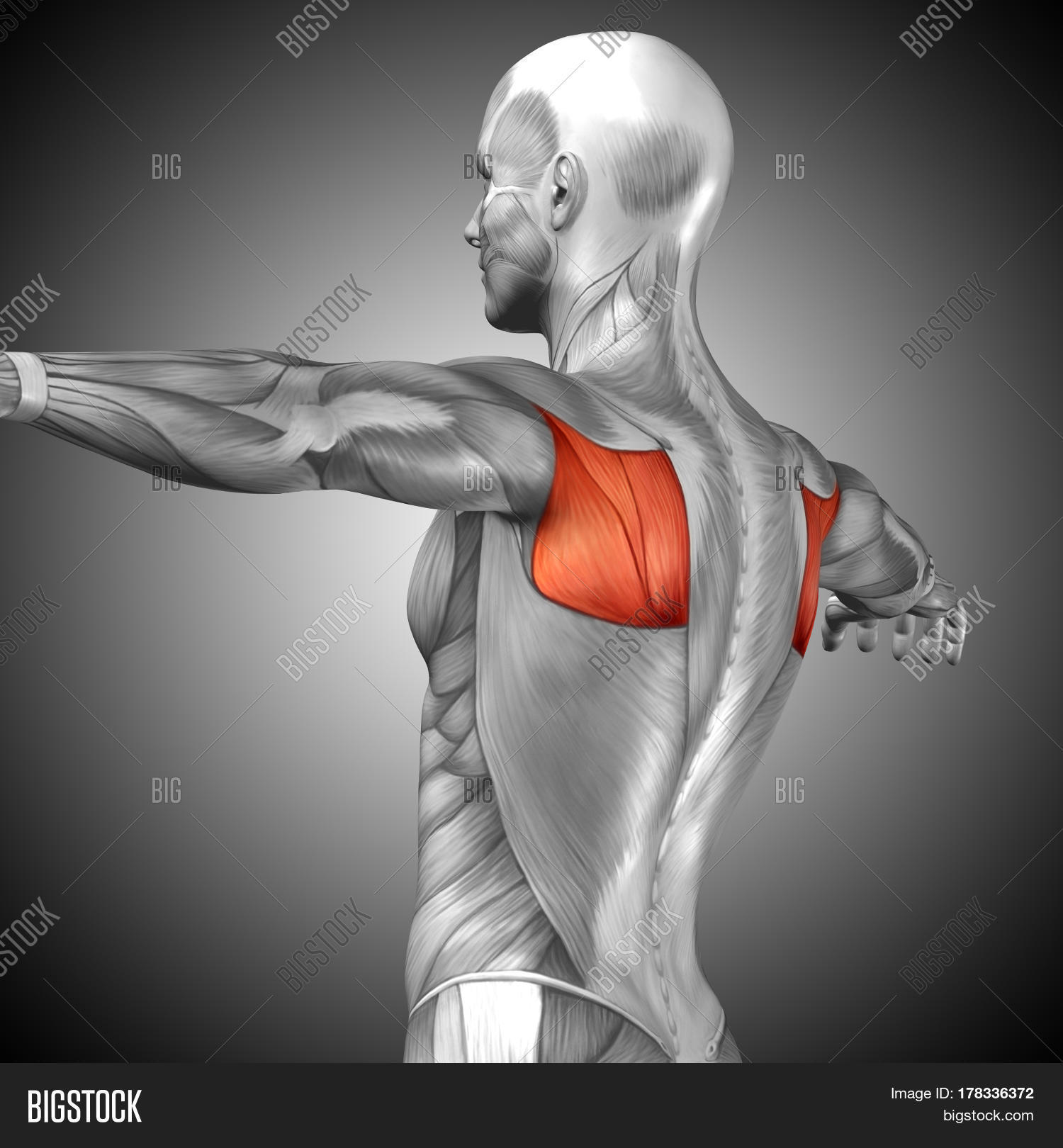 Concept Conceptual 3D Image & Photo (Free Trial) | Bigstock