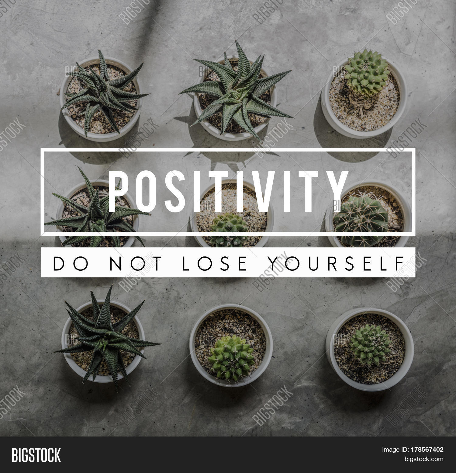 Positivity Break Image & Photo (Free Trial) | Bigstock