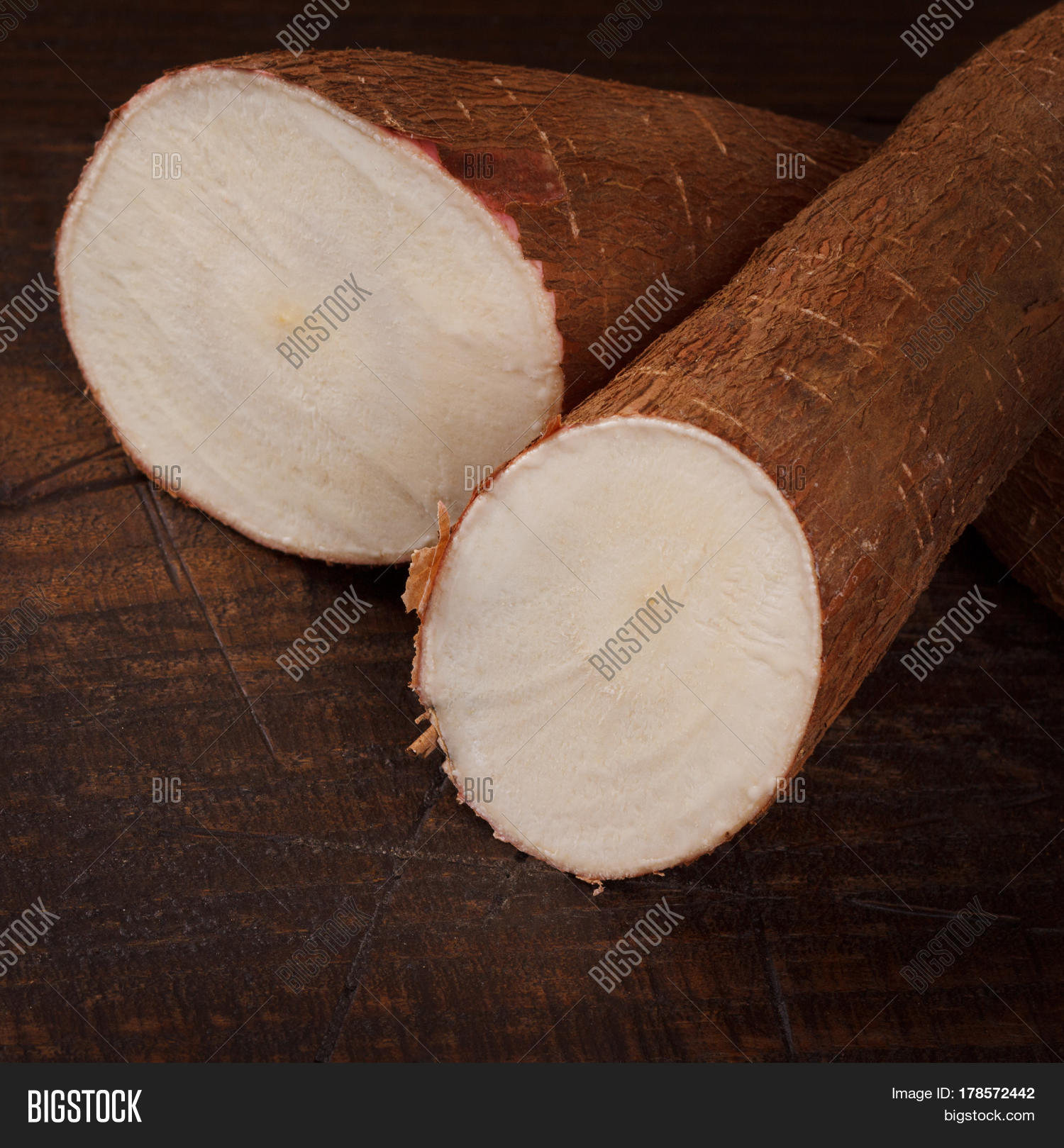 Manihot Esculenta ( Image & Photo (Free Trial) | Bigstock