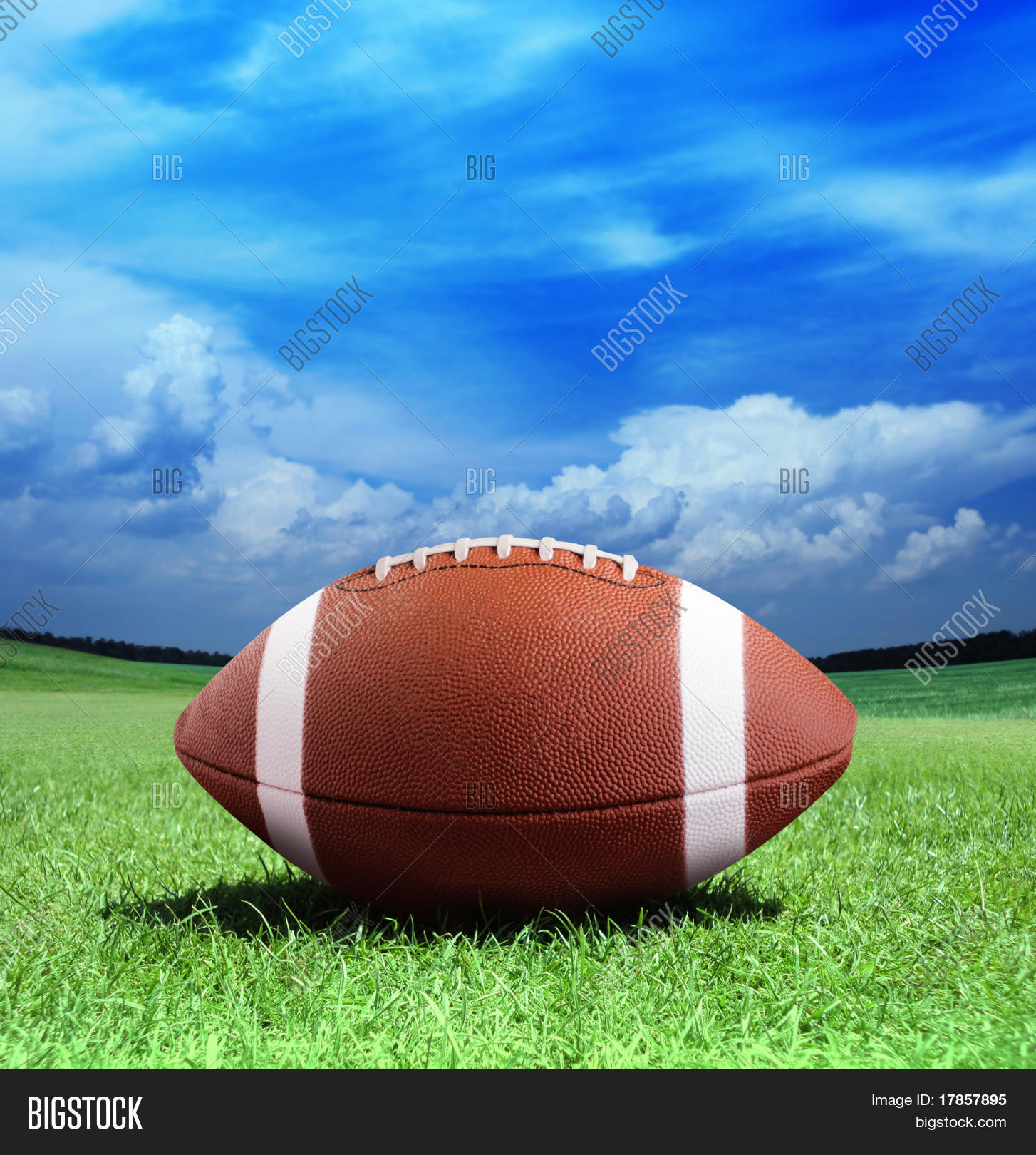 Football Image & Photo (Free Trial) | Bigstock
