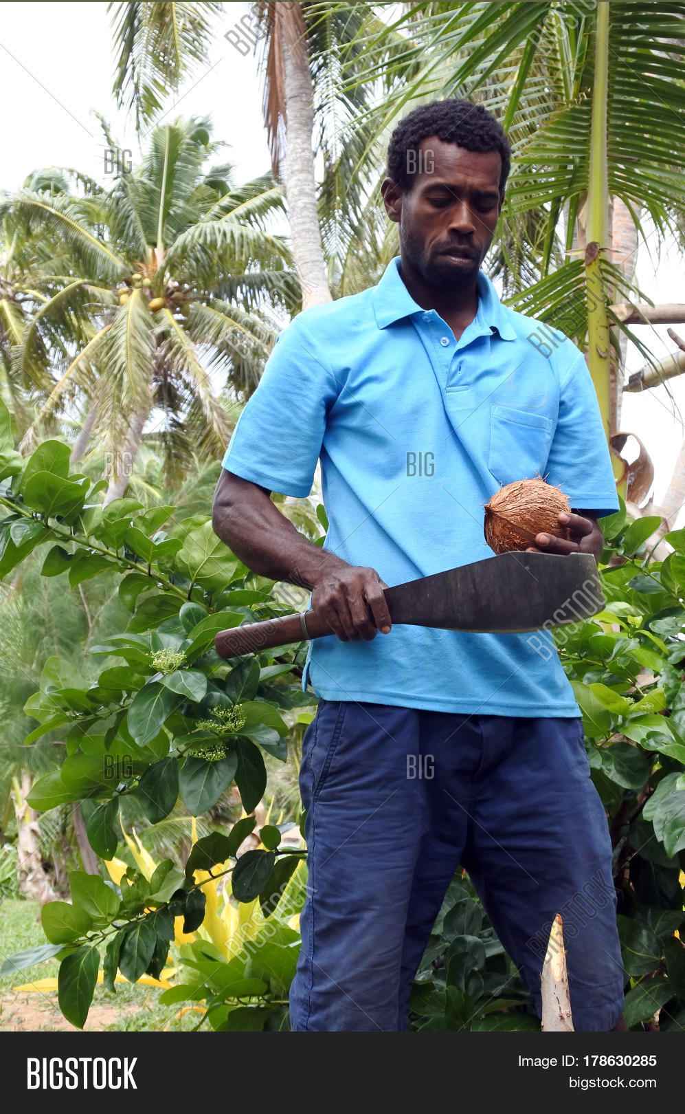 Indigenous Fijian Man Image & Photo (Free Trial) | Bigstock