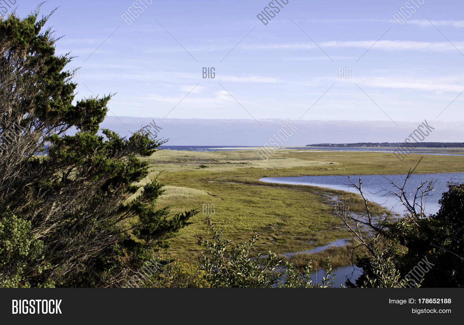 Wide View Marshy Grass Image & Photo (Free Trial) | Bigstock