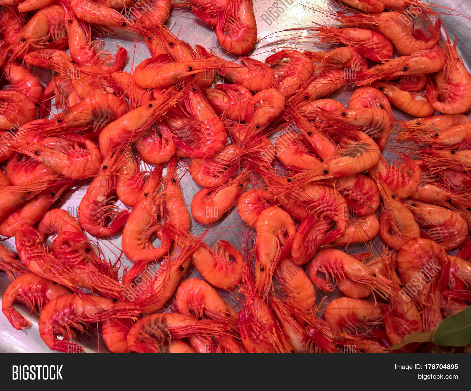 Red Gray Crawfish Image & Photo (Free Trial) | Bigstock