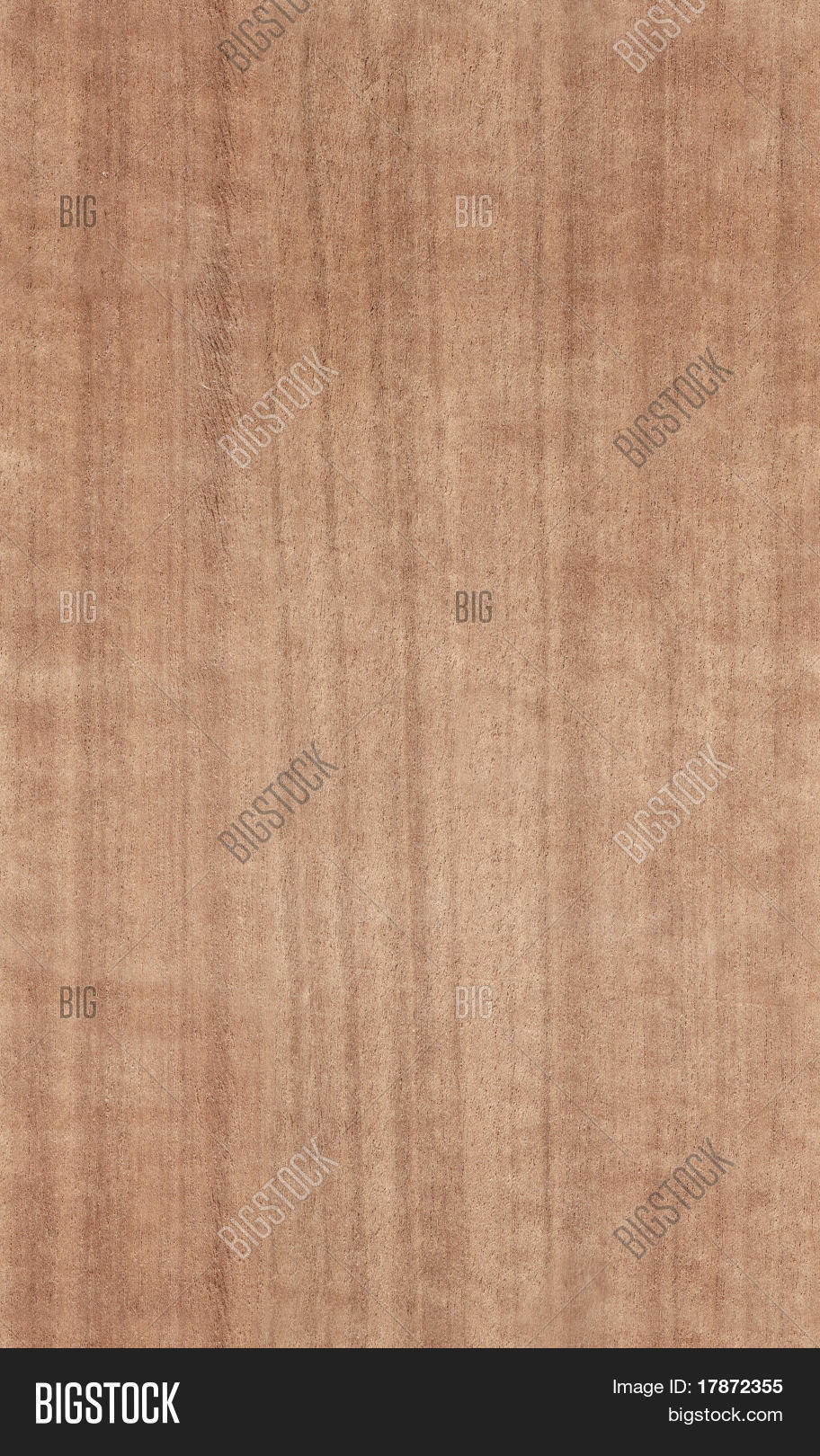 Nutwood Texture Image & Photo (Free Trial) | Bigstock