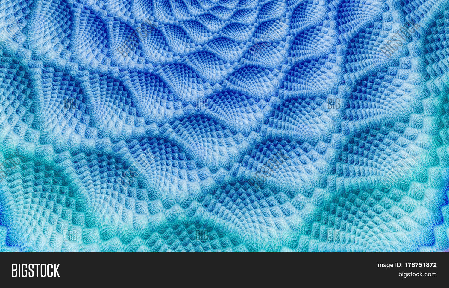 Scales Patterns On Image And Photo Free Trial Bigstock