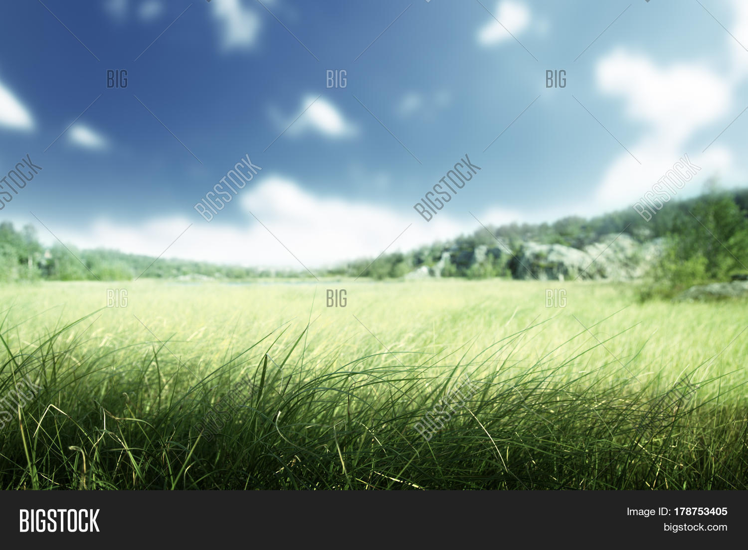 Sunny Morning Field Image & Photo (Free Trial) | Bigstock