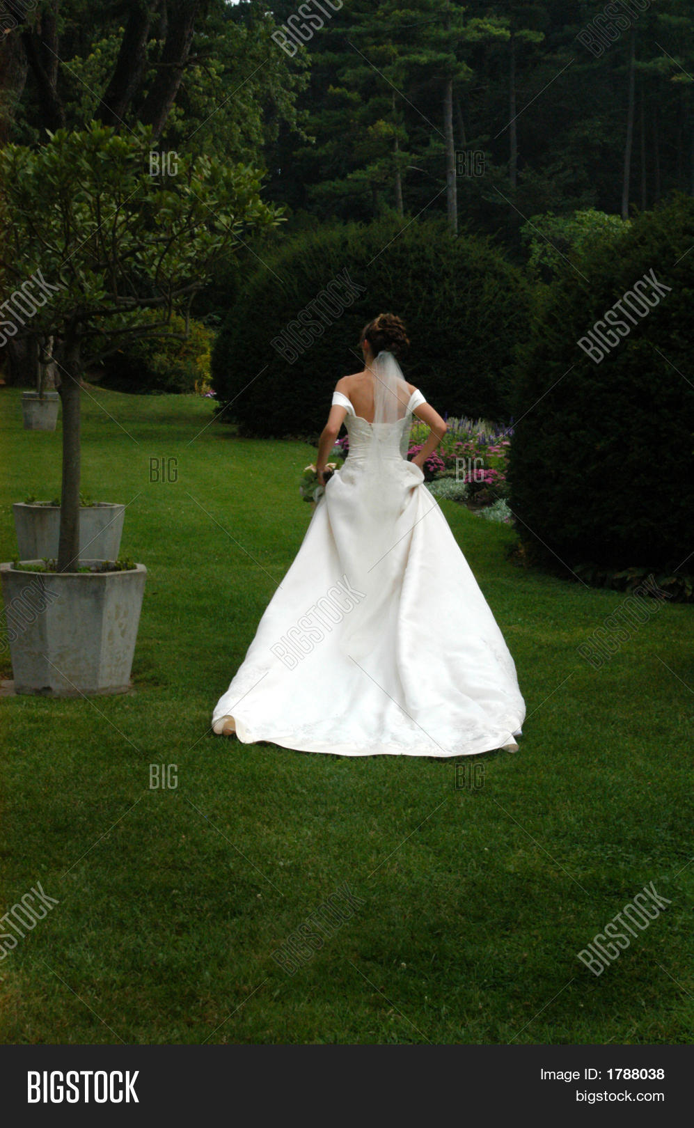 Run Away Bride Image & Photo (Free Trial) | Bigstock