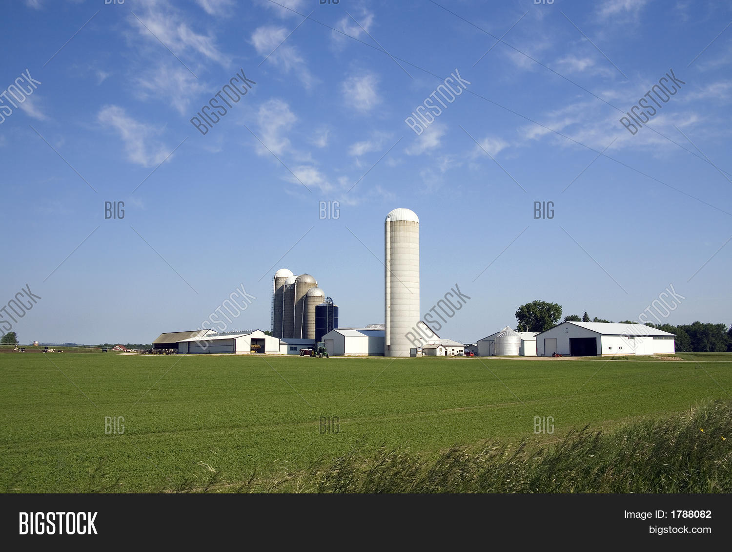 Wisconsin Dairy Farm Image & Photo (Free Trial) | Bigstock