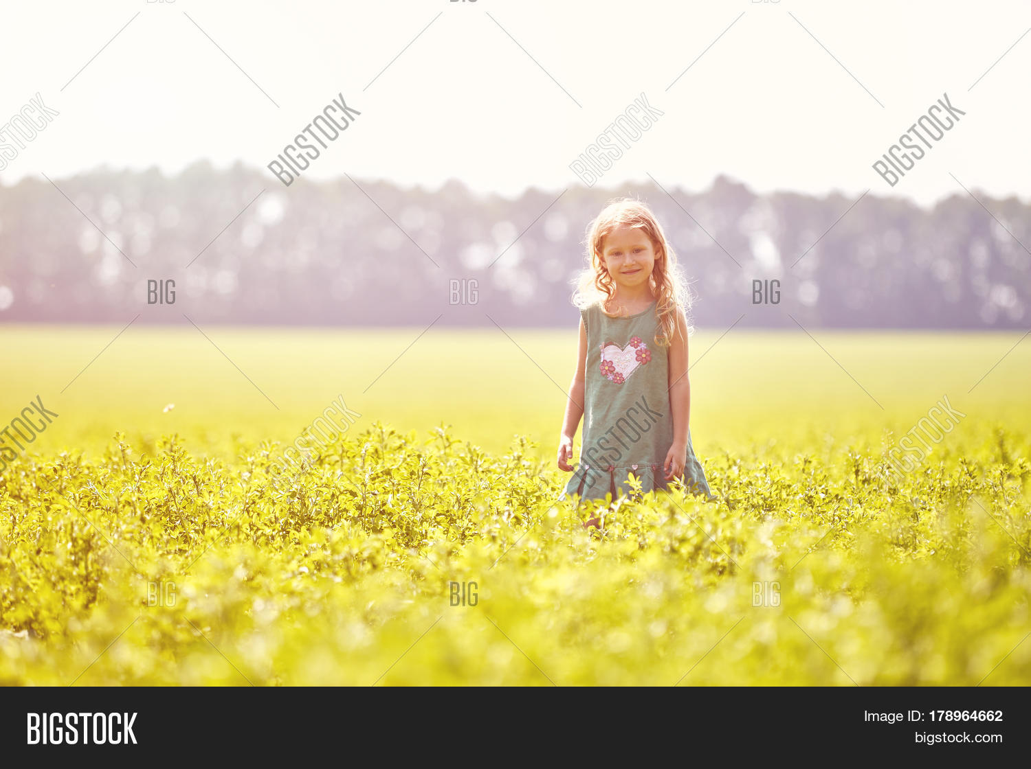Girl Field Sunny Image & Photo (Free Trial) | Bigstock