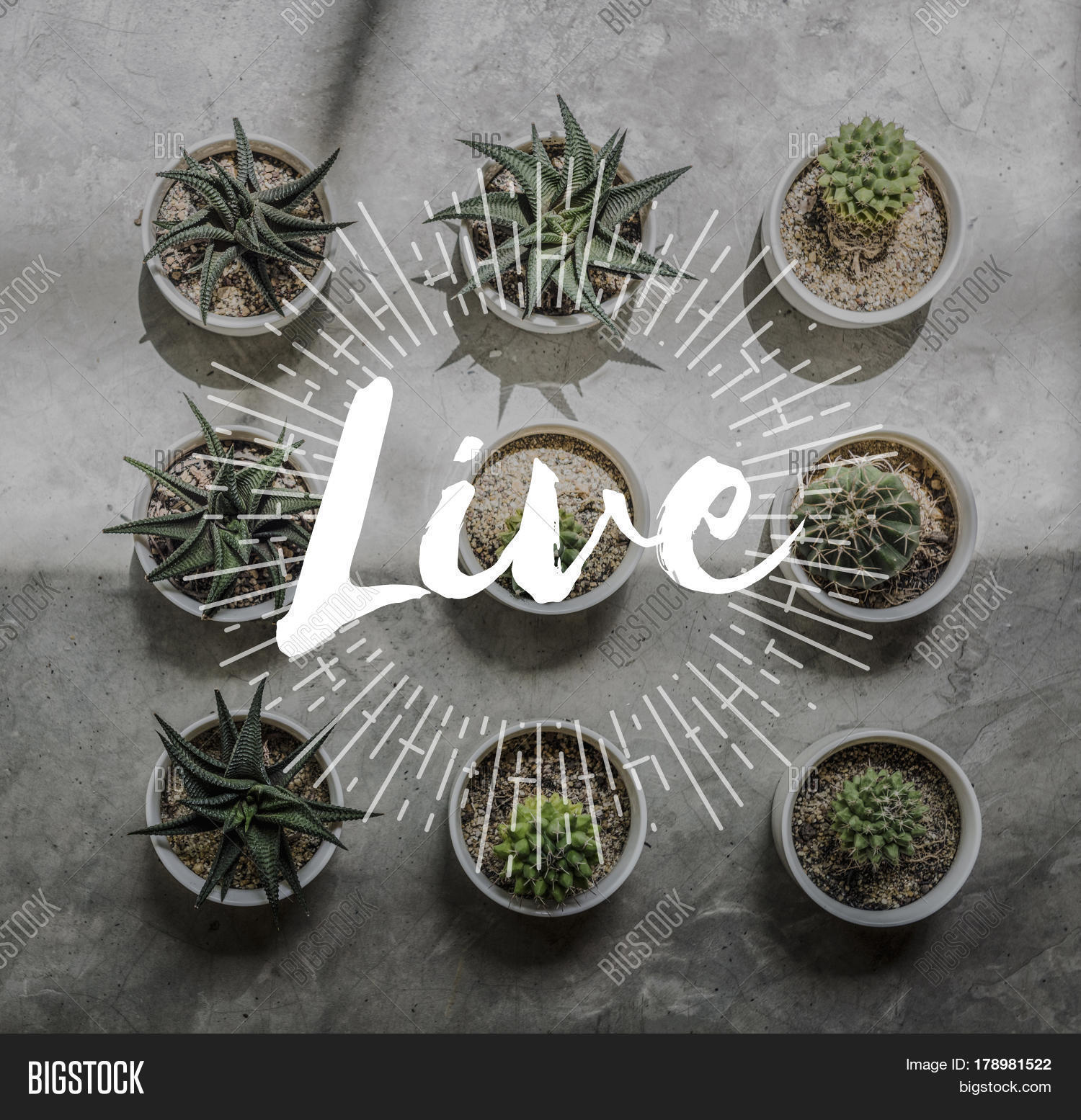 Positivity Break Image & Photo (Free Trial) | Bigstock