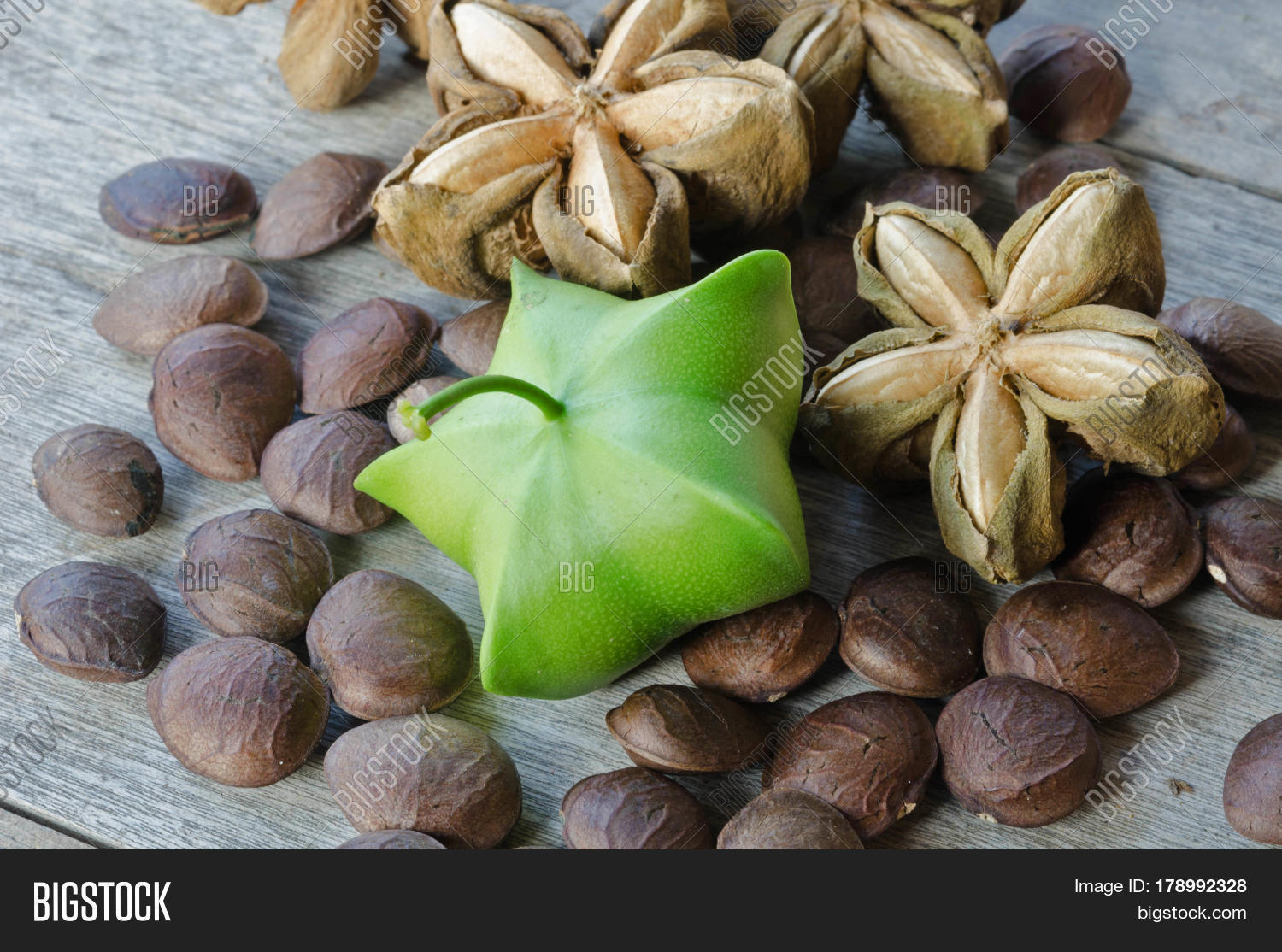 Sacha Inchi Seed Herbs Image & Photo (Free Trial) | Bigstock