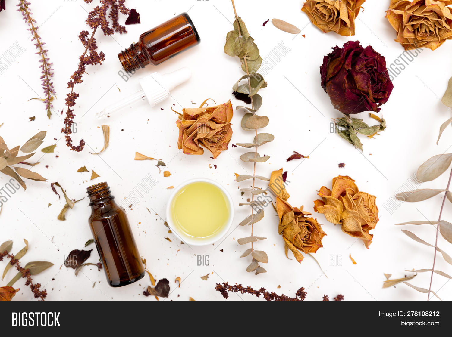 Aromatic Botanical Image & Photo (Free Trial) | Bigstock