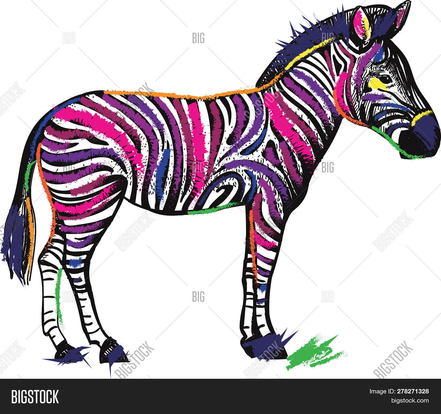 Zebra Animal Rainbow Vector & Photo (Free Trial) | Bigstock