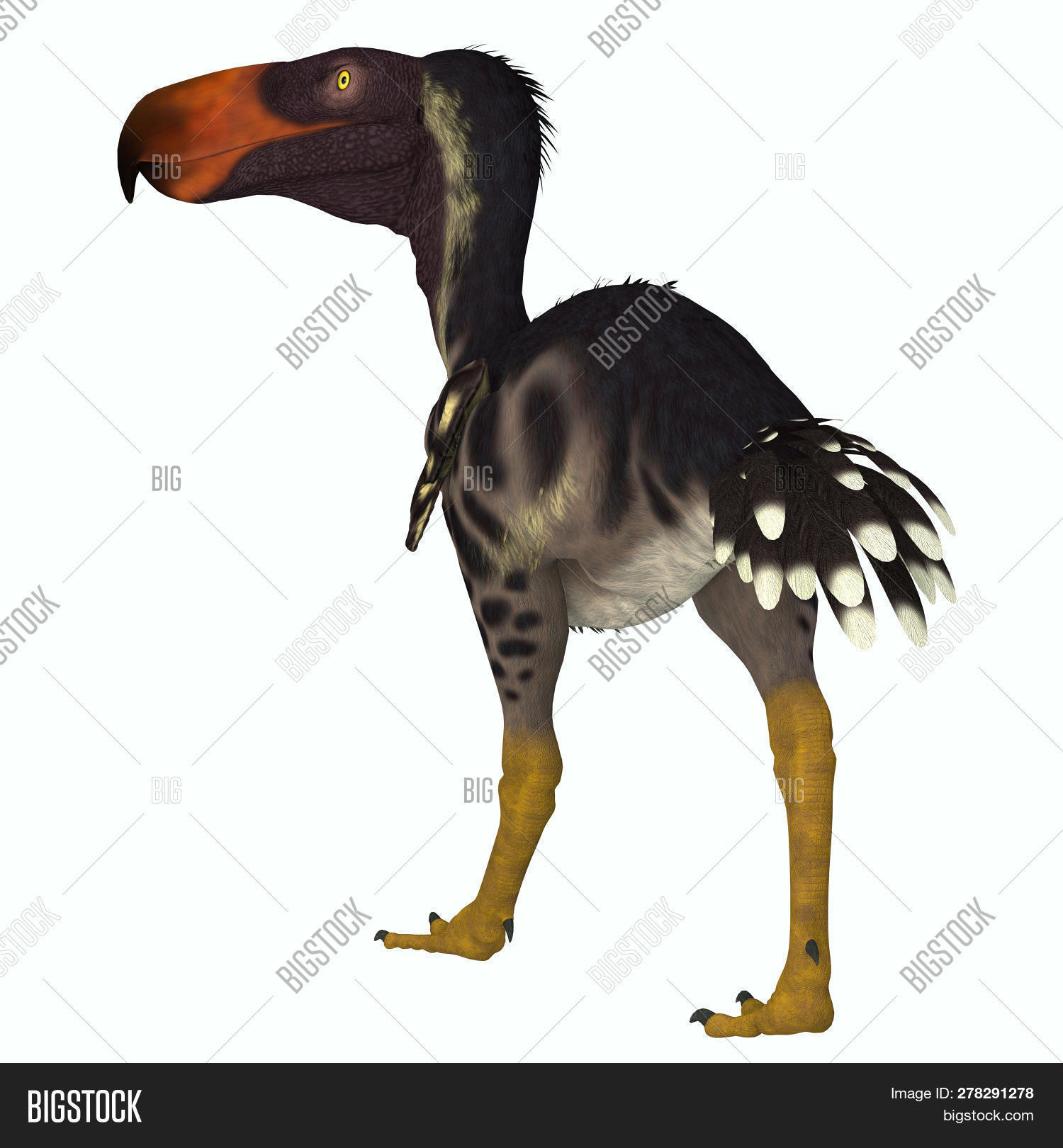 Kelenken Bird 3d Image & Photo (Free Trial) | Bigstock