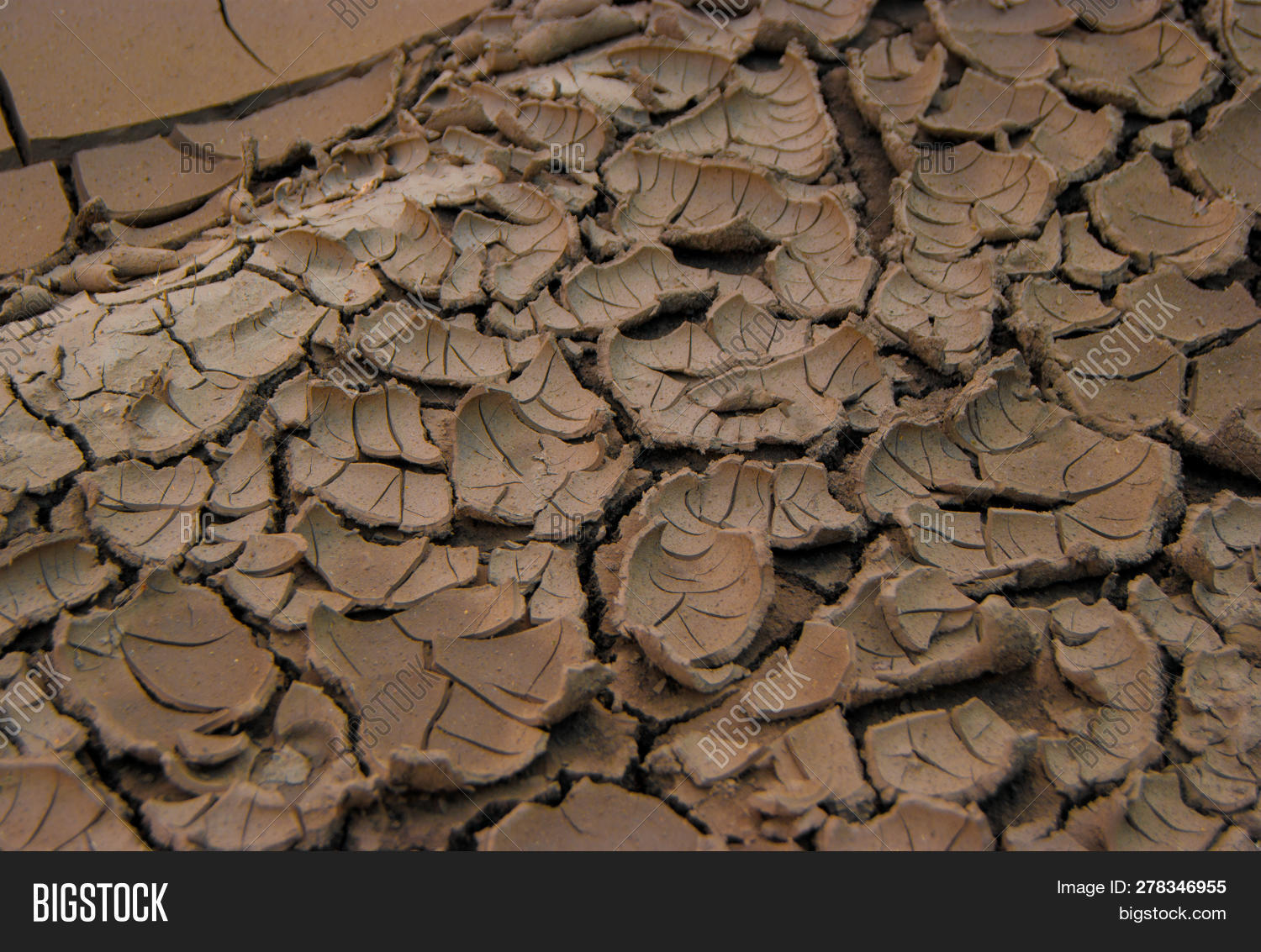 Withered Convex Desert Image & Photo (Free Trial) | Bigstock