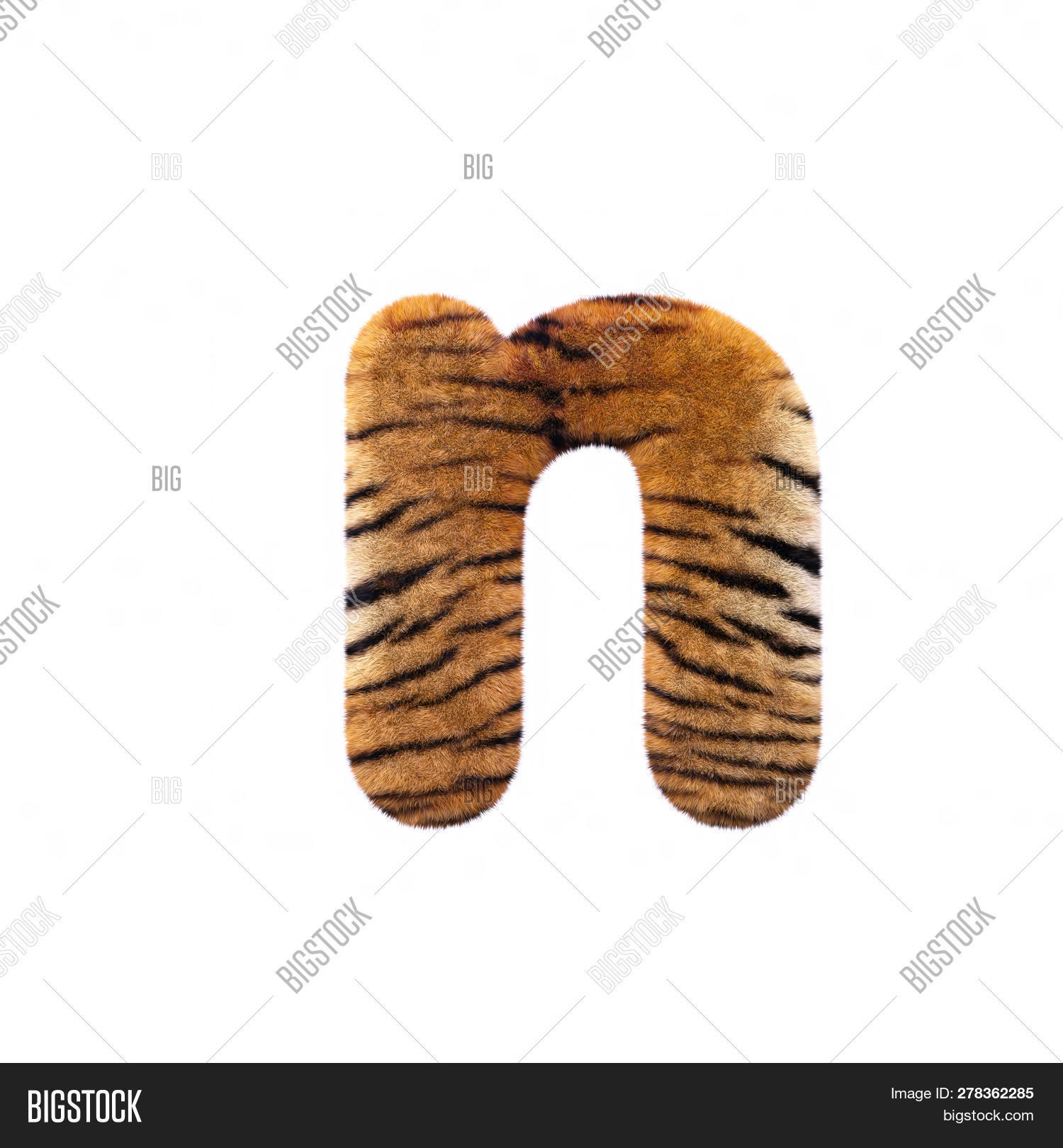 Tiger Letter N - Lower Image & Photo (Free Trial) | Bigstock