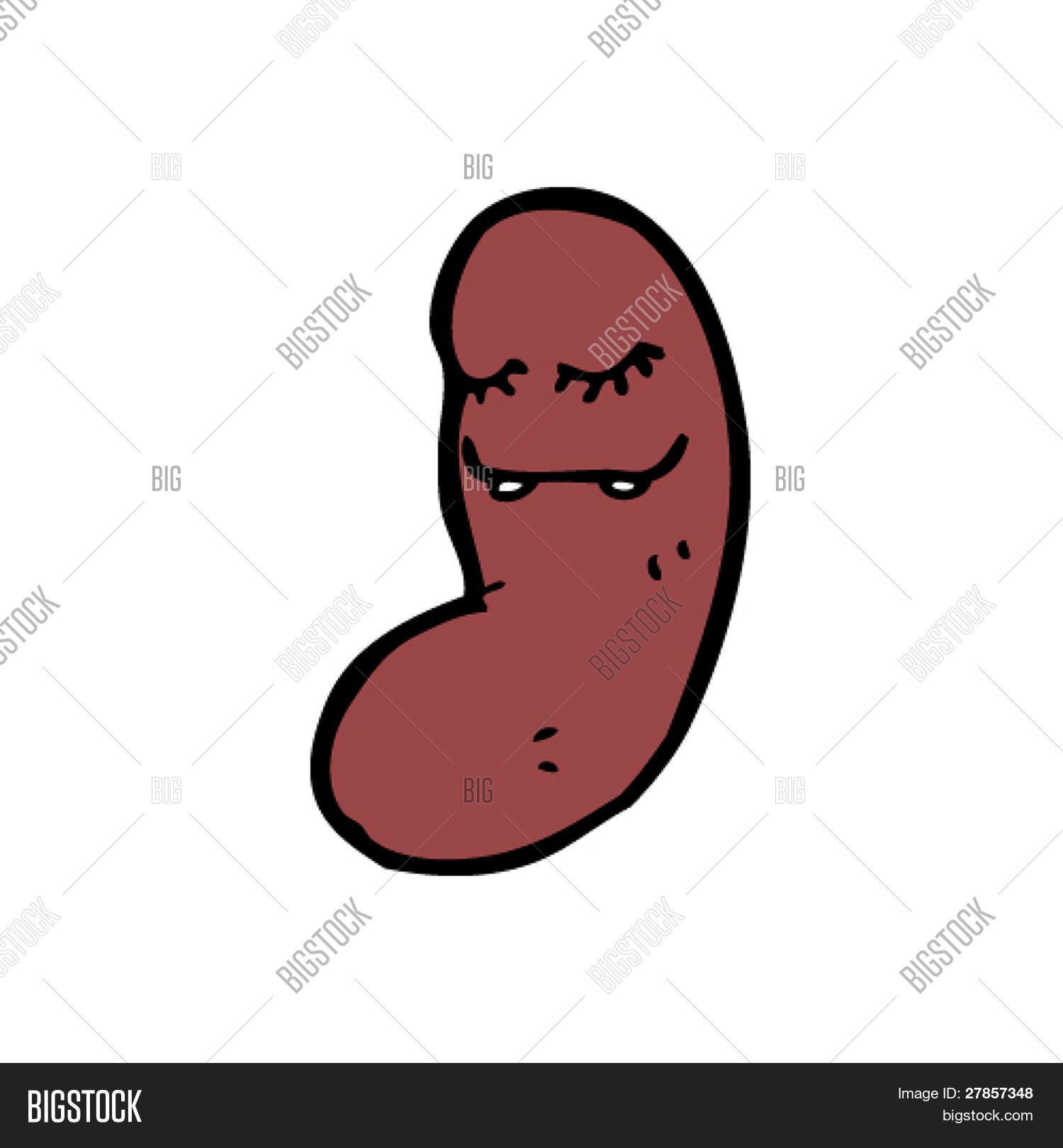 Kidney Bean Cartoon Vector & Photo (Free Trial) | Bigstock