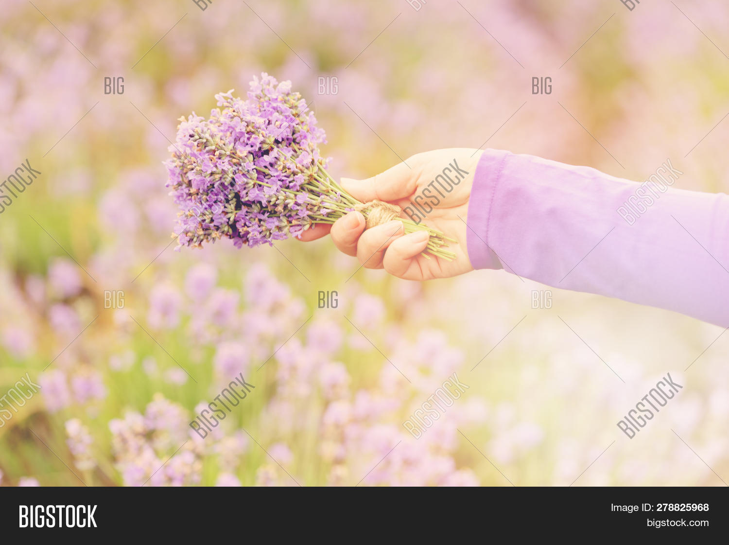 Gathering Bouquet Image & Photo (Free Trial) | Bigstock