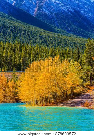 Concept Active, Image & Photo (Free Trial) | Bigstock