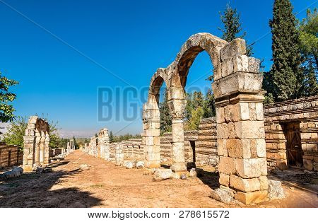 Gerrha Images, Illustrations & Vectors (Free) - Bigstock