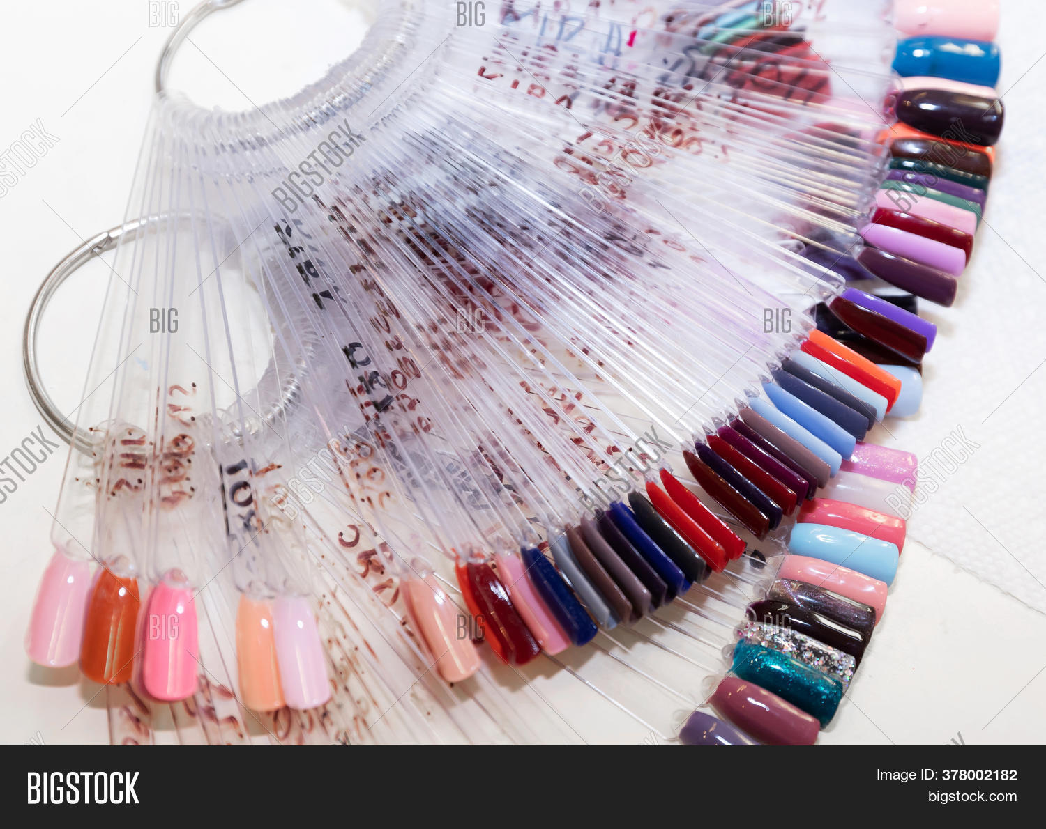 Nails Variety Samples Image & Photo (Free Trial) | Bigstock
