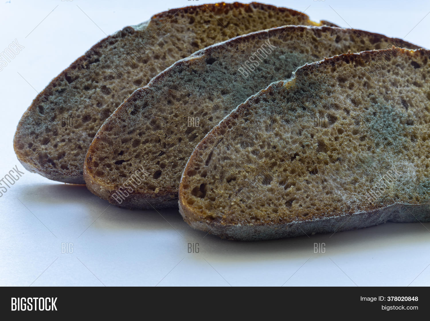 Moldy Bread. Mold On Image & Photo (Free Trial) | Bigstock