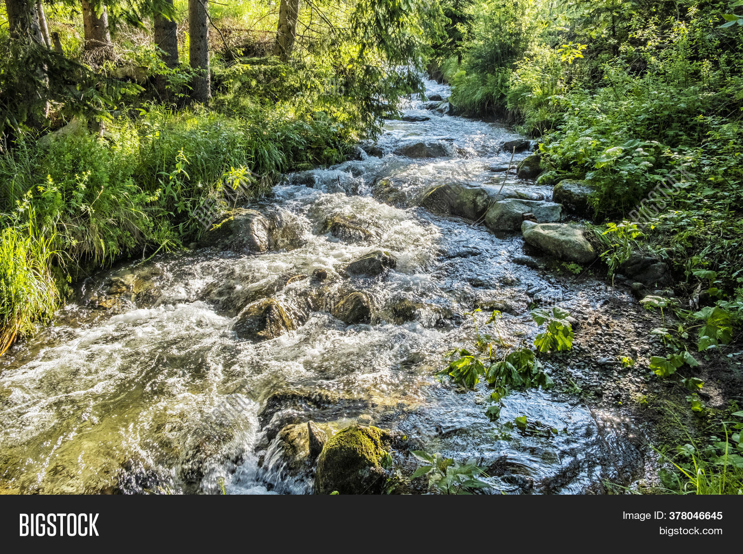 Scenery Brook High Image & Photo (Free Trial) | Bigstock