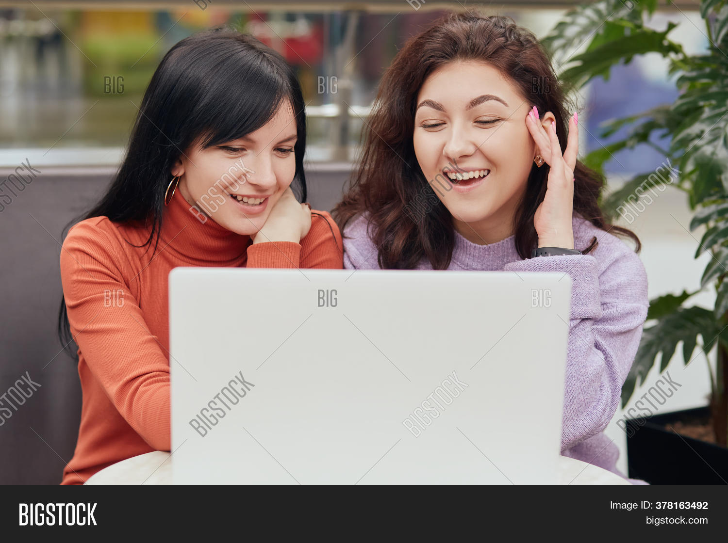 Two Women Working Image & Photo (Free Trial) | Bigstock
