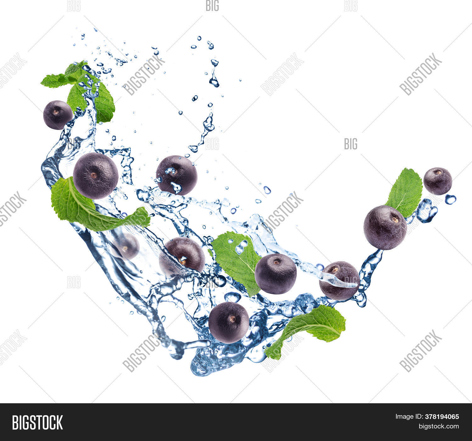 Water Splash Acai Image & Photo (Free Trial) | Bigstock
