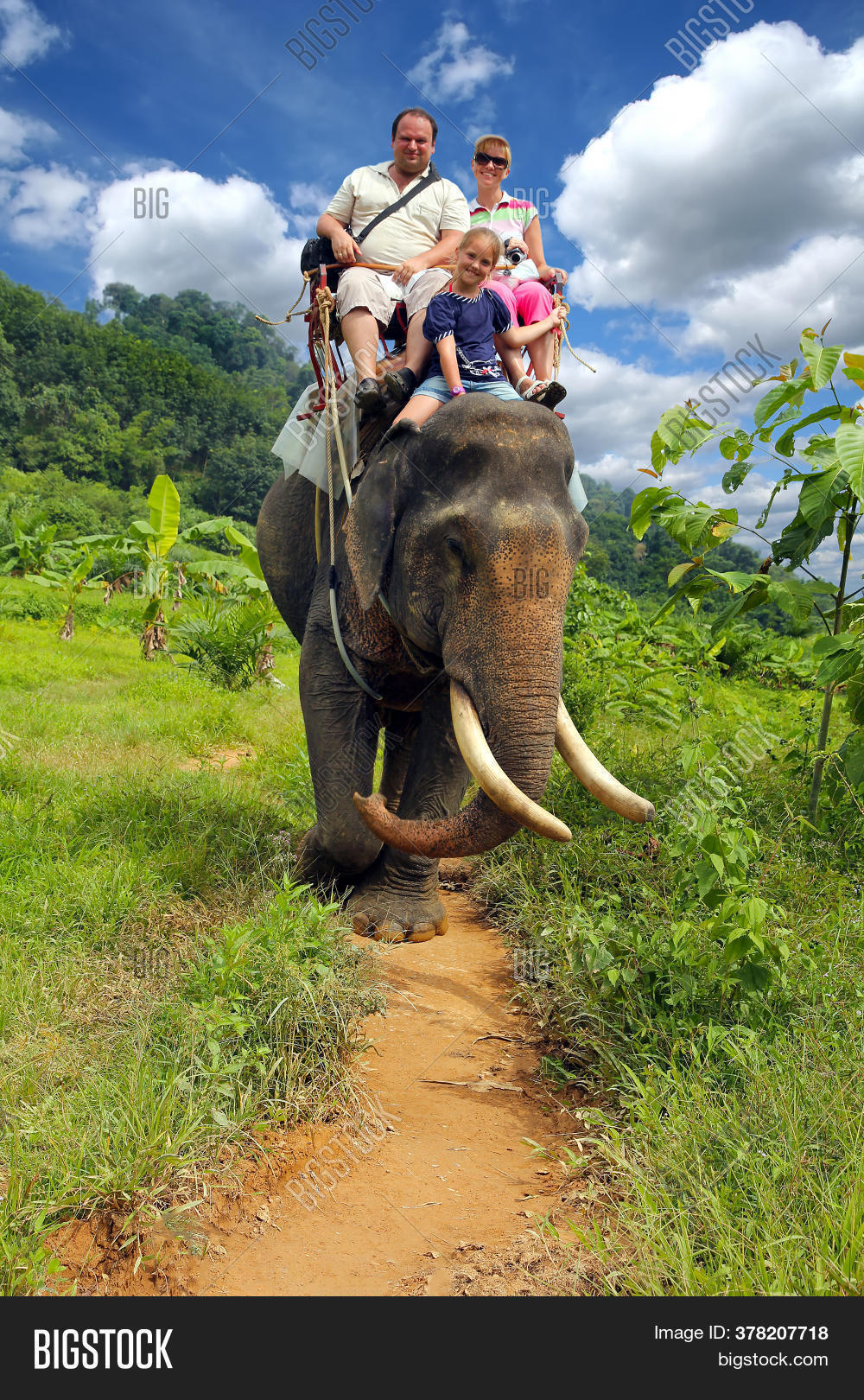 Riding Elephant. Young Image & Photo (Free Trial) | Bigstock