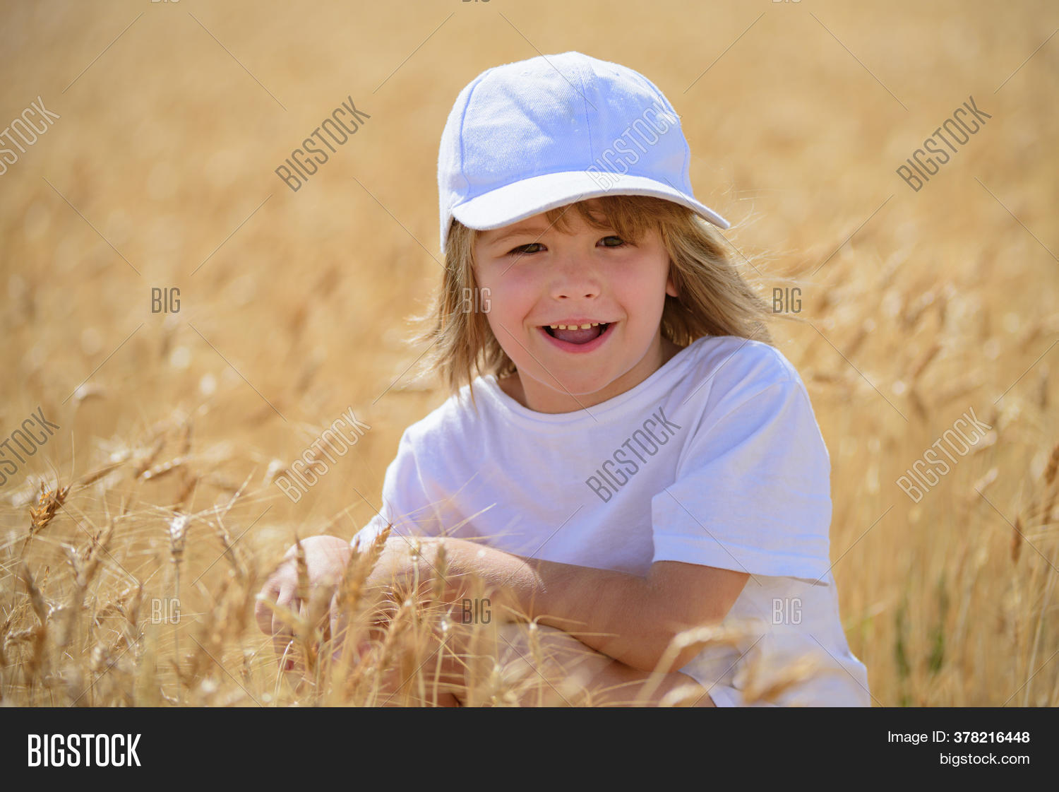 Happy Kid Wheat Field Image & Photo (Free Trial) | Bigstock