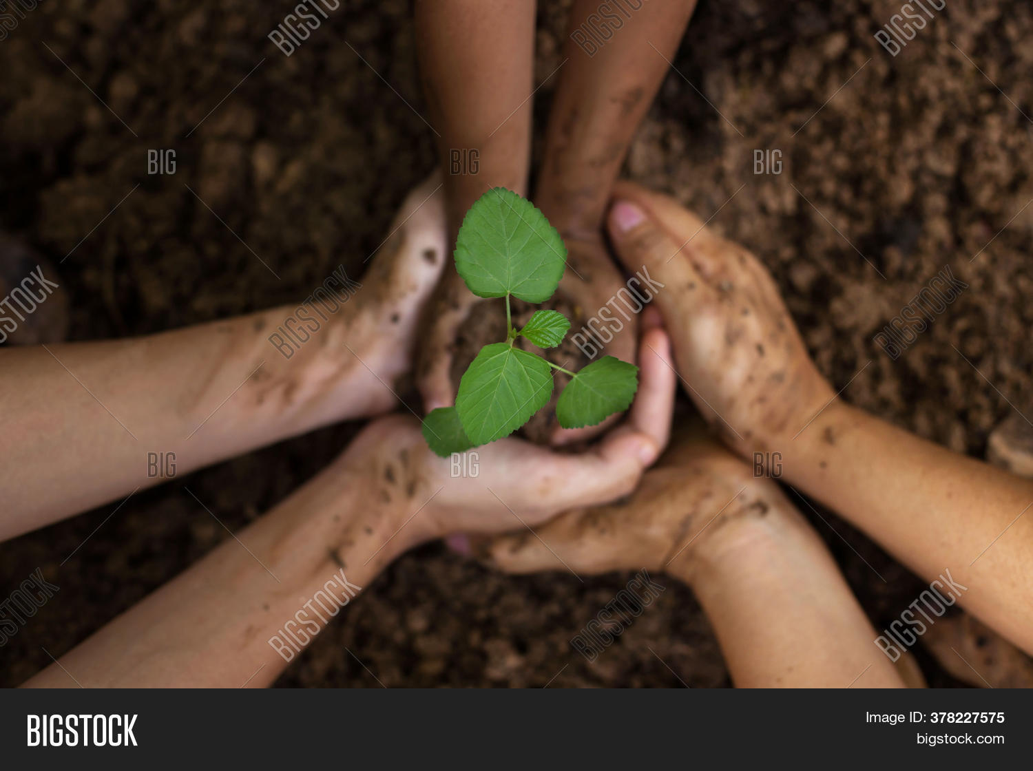 Child Holding Small Image & Photo (Free Trial) | Bigstock