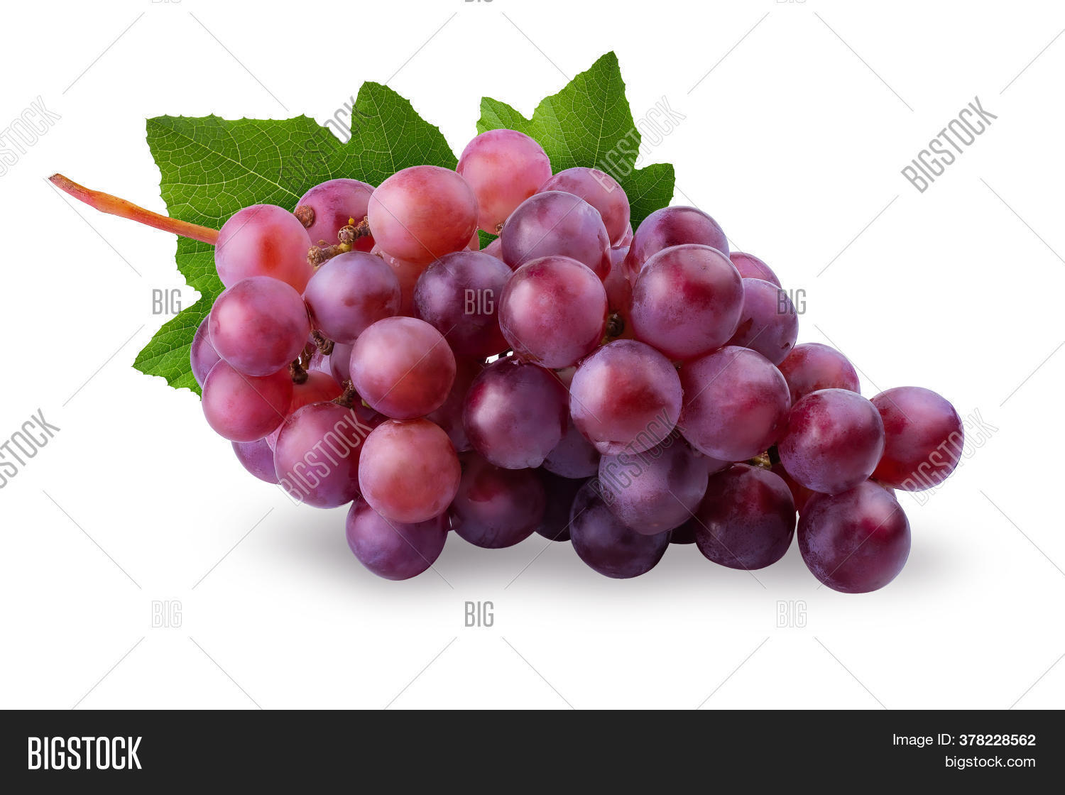 Red Grapes Isolated On Image & Photo (Free Trial) | Bigstock