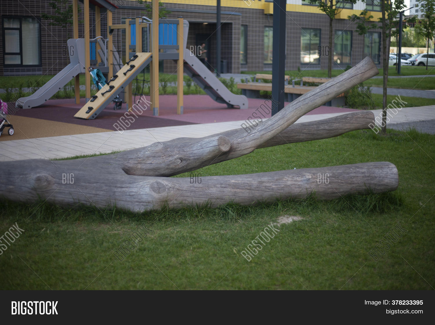 Dry Tree Playground. Image & Photo (Free Trial) | Bigstock