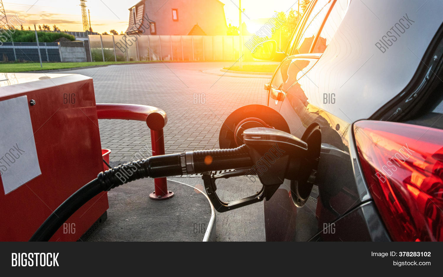Filling Car Petrol. Image & Photo (Free Trial) | Bigstock