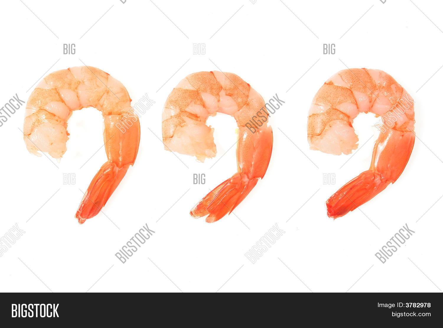 Three Prawns Image & Photo (Free Trial) | Bigstock