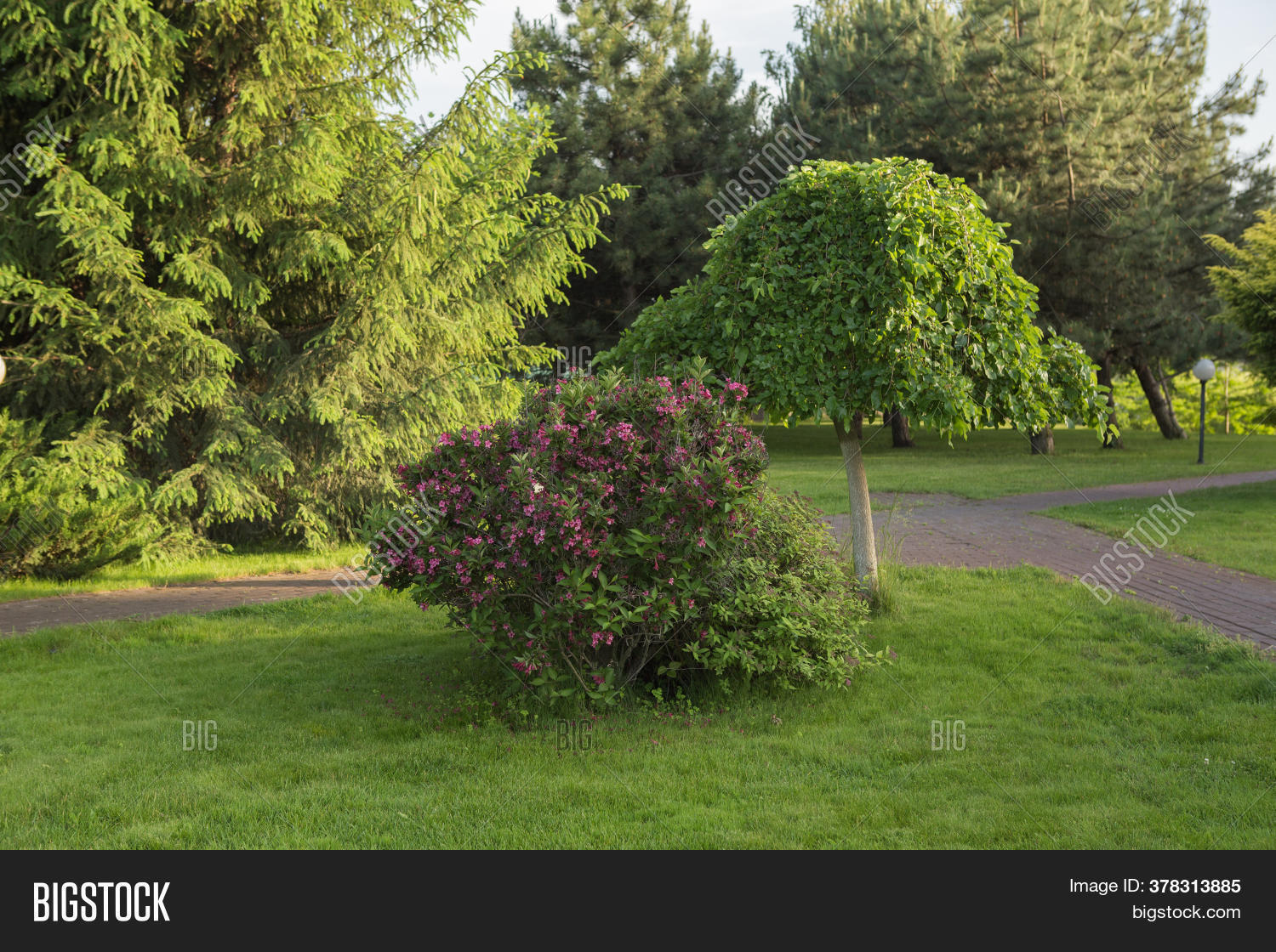 Beautiful View Image & Photo (Free Trial) | Bigstock