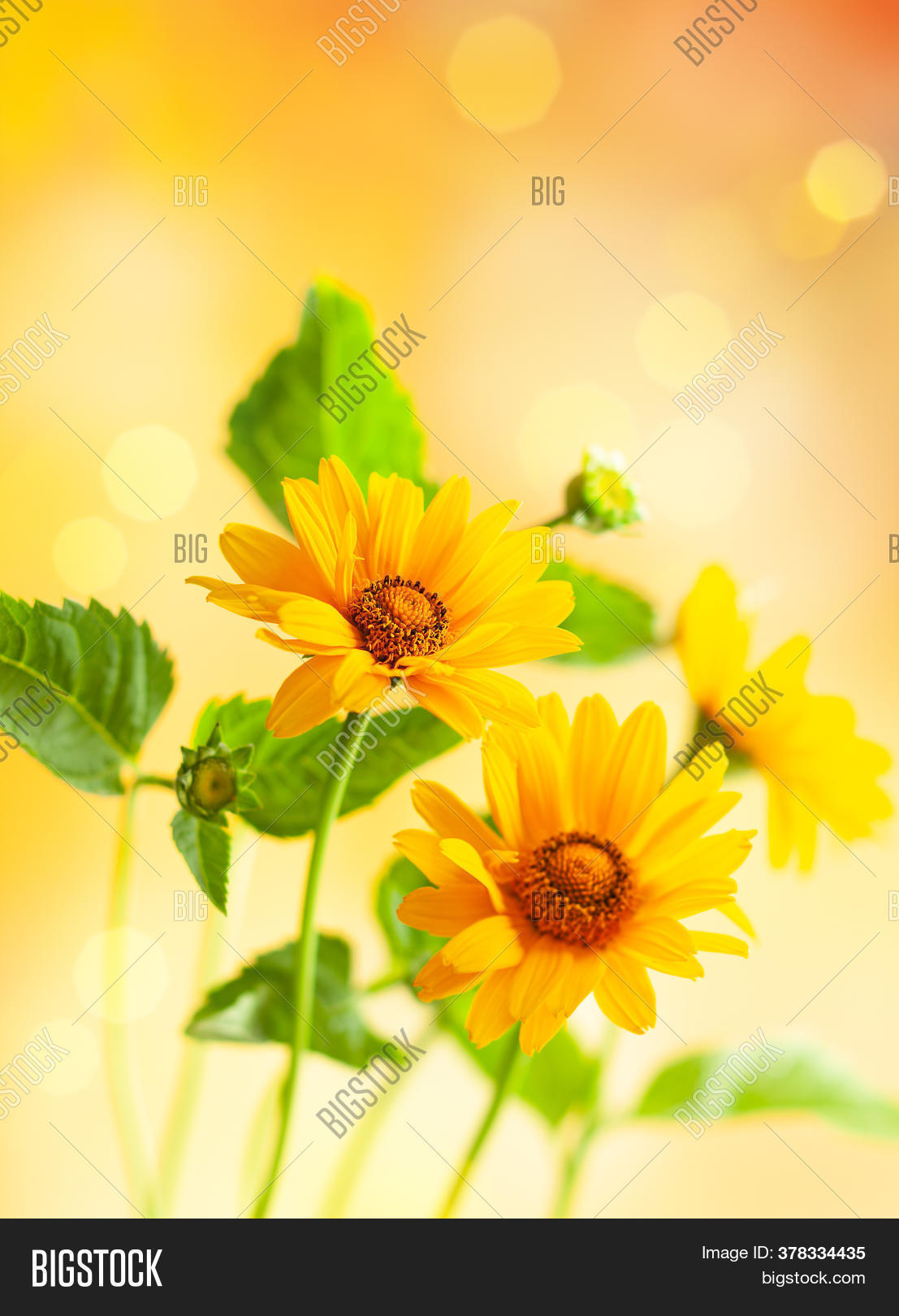 Beautiful Yellow Image & Photo (Free Trial) | Bigstock