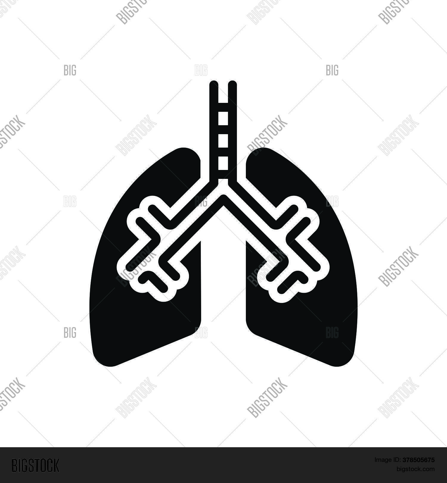 Black Solid Icon Lung Vector & Photo (Free Trial) | Bigstock