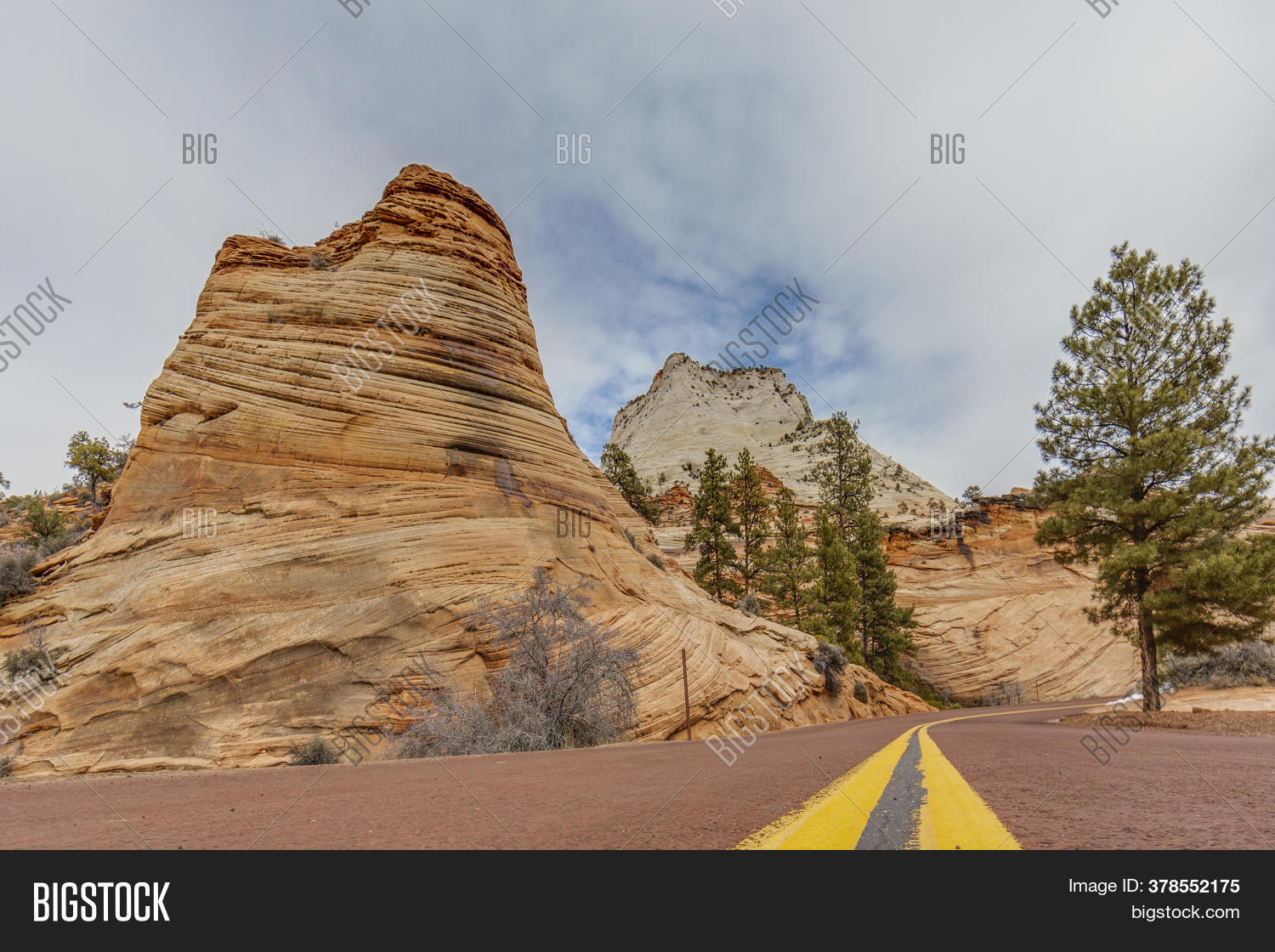 Ground Perspective Image & Photo (Free Trial) | Bigstock